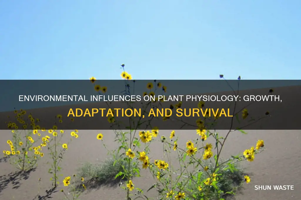 Environmental Influences On Plant Physiology: Growth, Adaptation, And ...