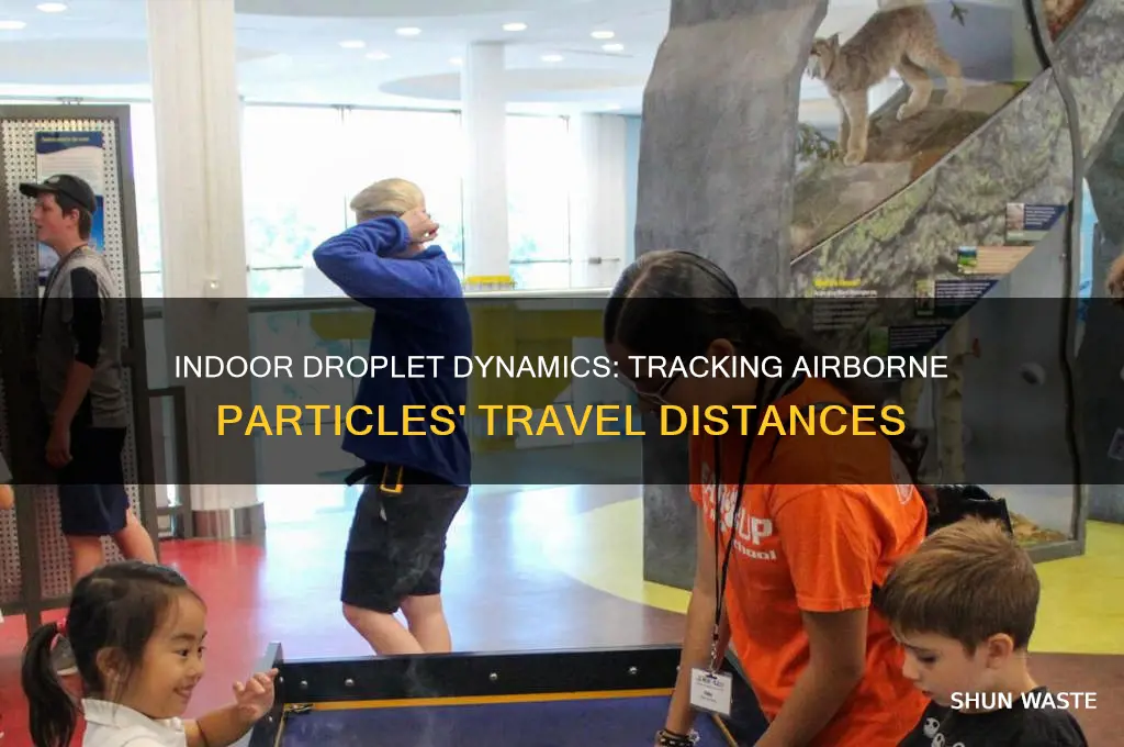 Indoor Droplet Dynamics: Tracking Airborne Particles' Travel Distances ...