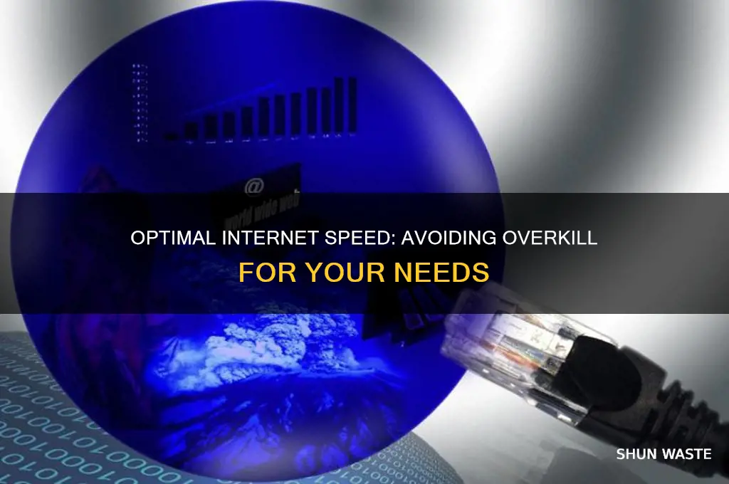 Optimal Internet Speed: Avoiding Overkill For Your Needs | ShunWaste