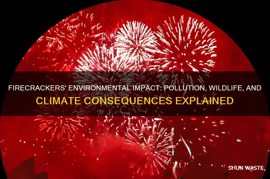 Firecrackers' Environmental Impact: Pollution, Wildlife, And Climate ...