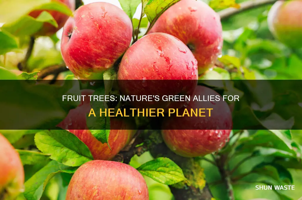 Fruit Trees: Nature's Green Allies For A Healthier Planet | ShunWaste