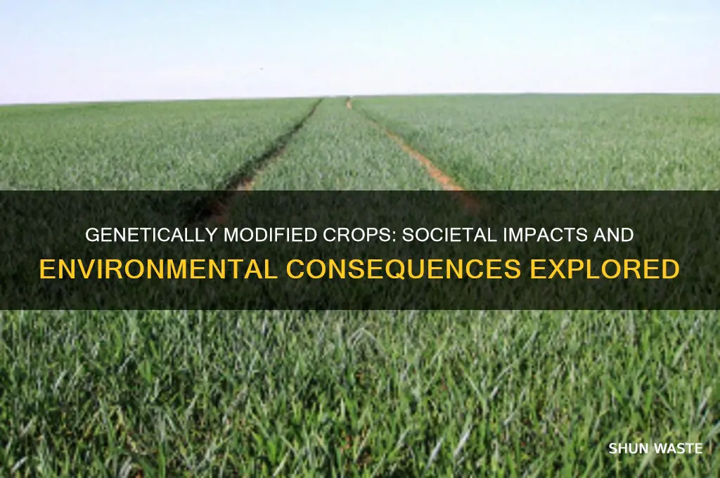 Genetically Modified Crops: Societal Impacts And Environmental ...