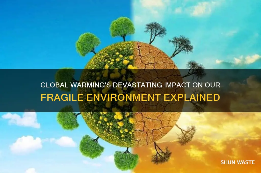 Global Warming's Devastating Impact On Our Fragile Environment ...