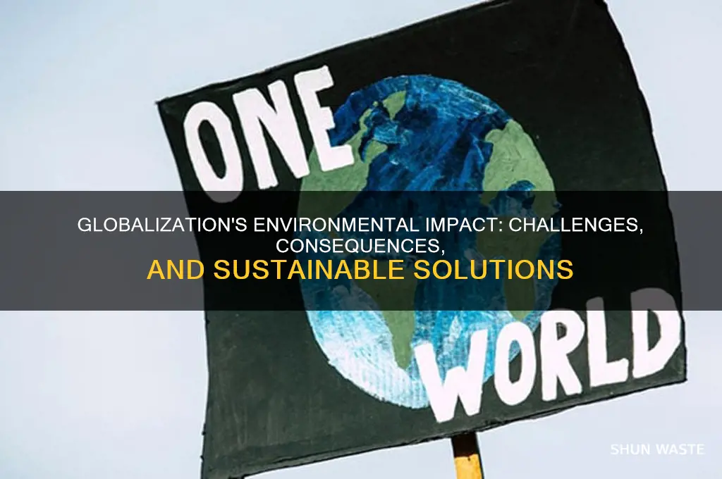 Globalization's Environmental Impact: Challenges, Consequences, And ...