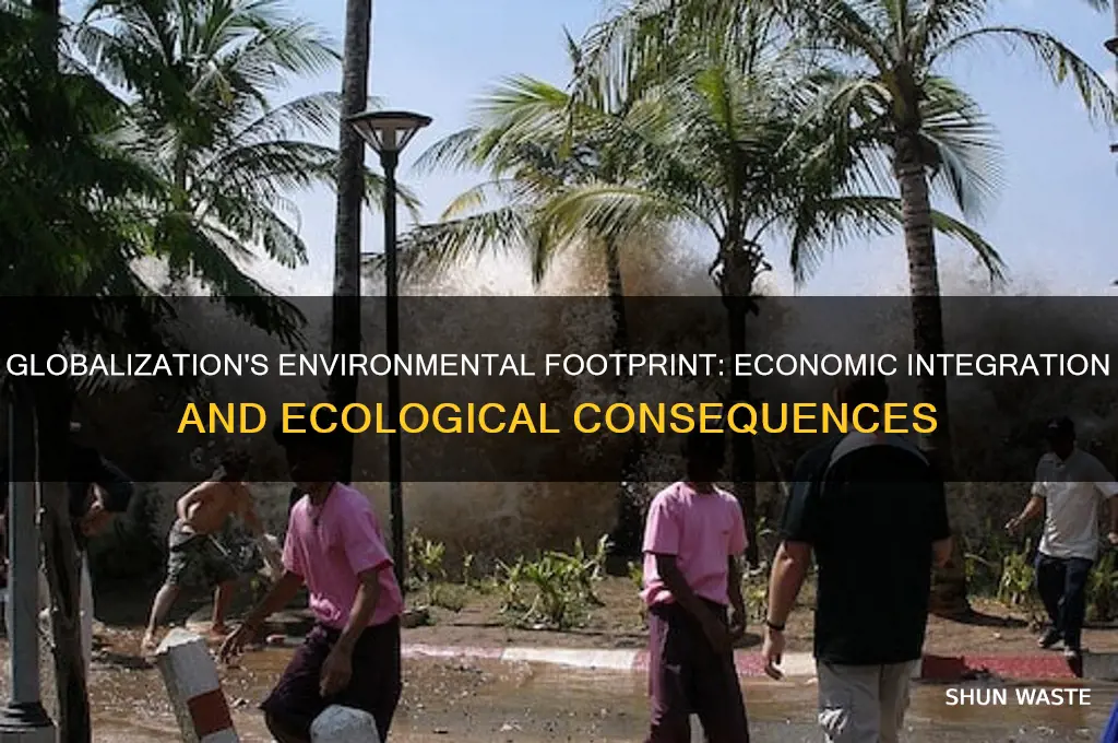 Globalization's Environmental Footprint: Economic Integration And ...