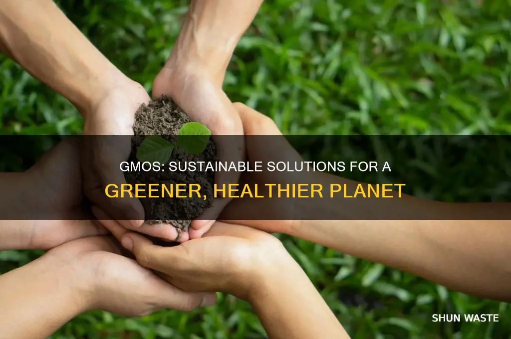 Gmos: Sustainable Solutions For A Greener, Healthier Planet | ShunWaste