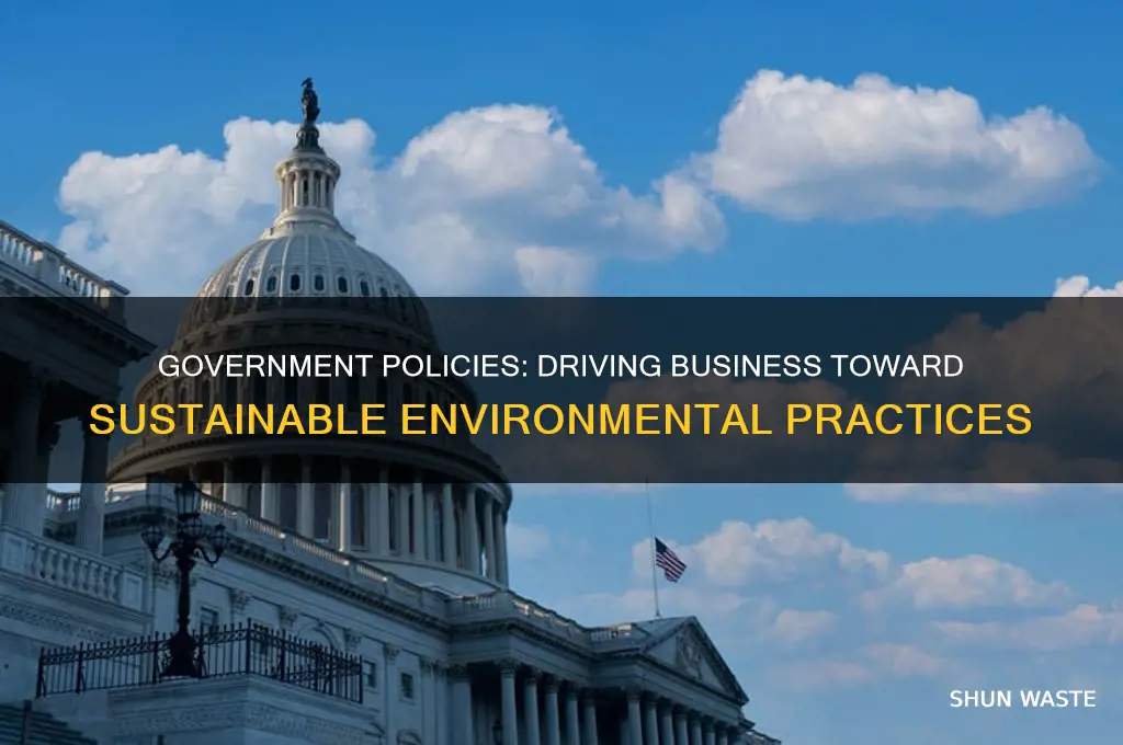 Government Policies: Driving Business Toward Sustainable Environmental ...