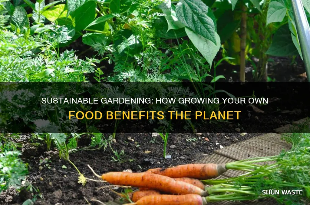 Sustainable Gardening: How Growing Your Own Food Benefits The Planet ...