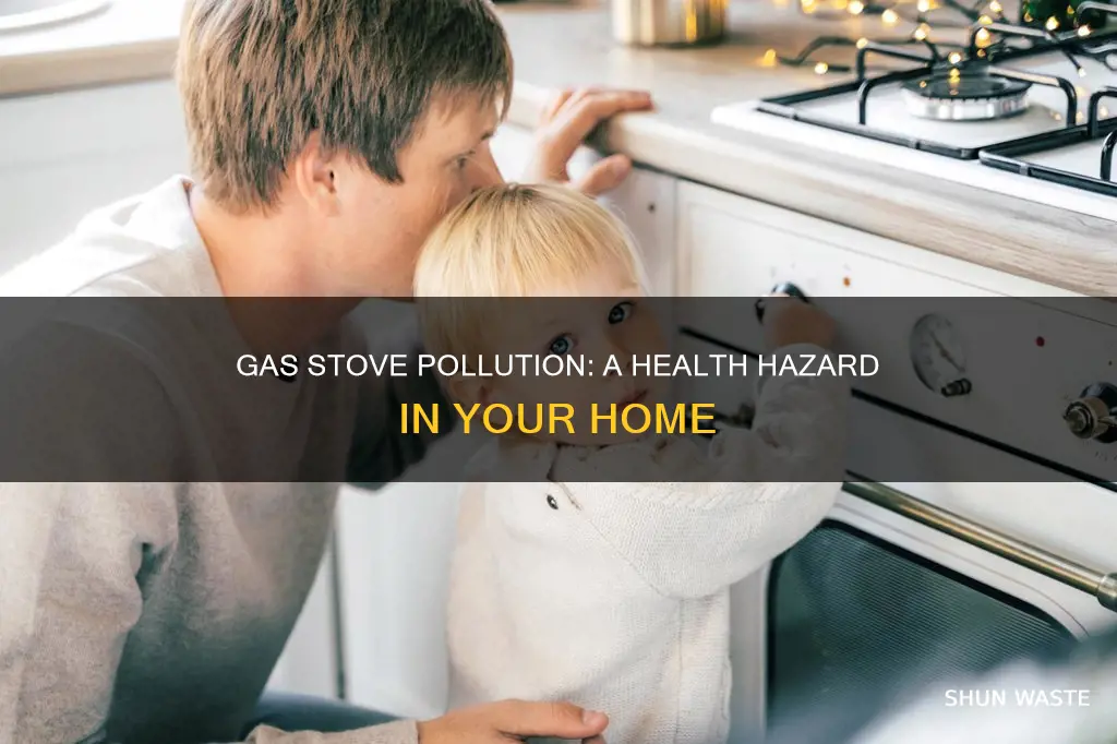 Gas Stove Pollution: A Health Hazard In Your Home | ShunWaste