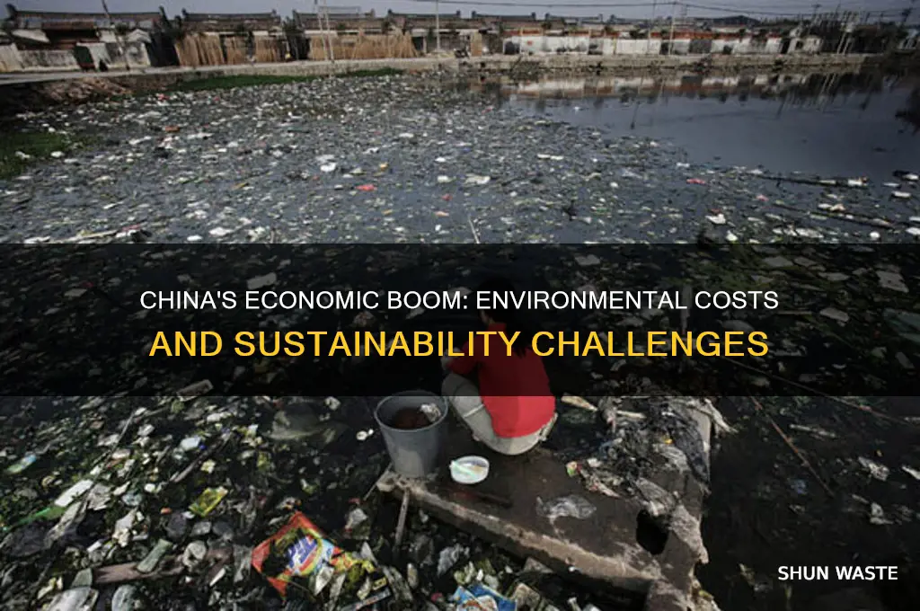 China's Economic Boom: Environmental Costs And Sustainability ...