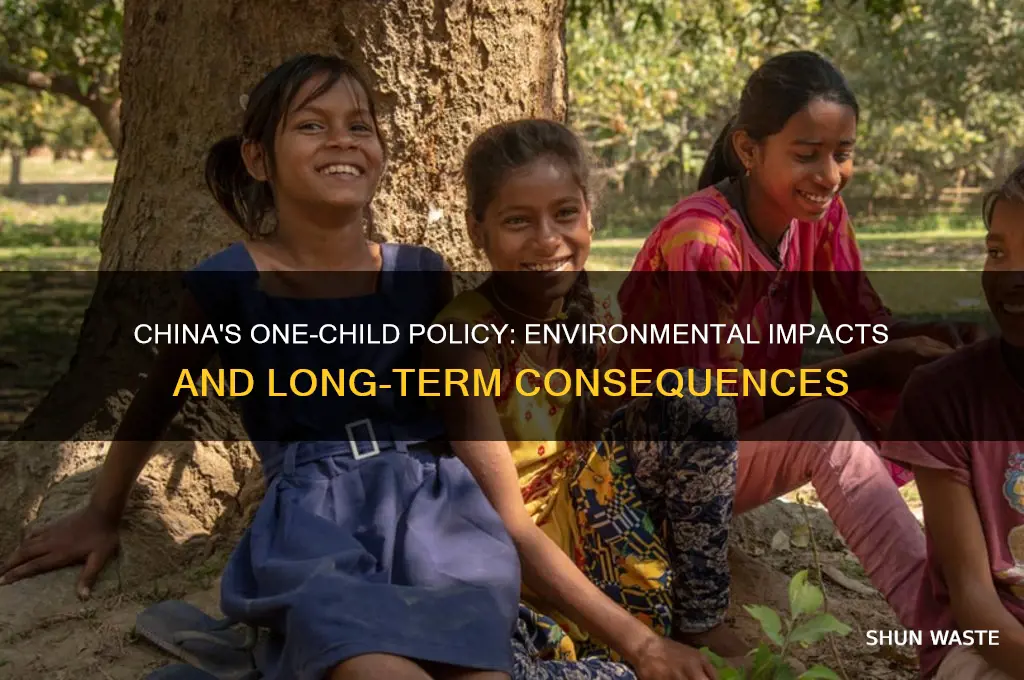 China's One-Child Policy: Environmental Impacts And Long-Term ...