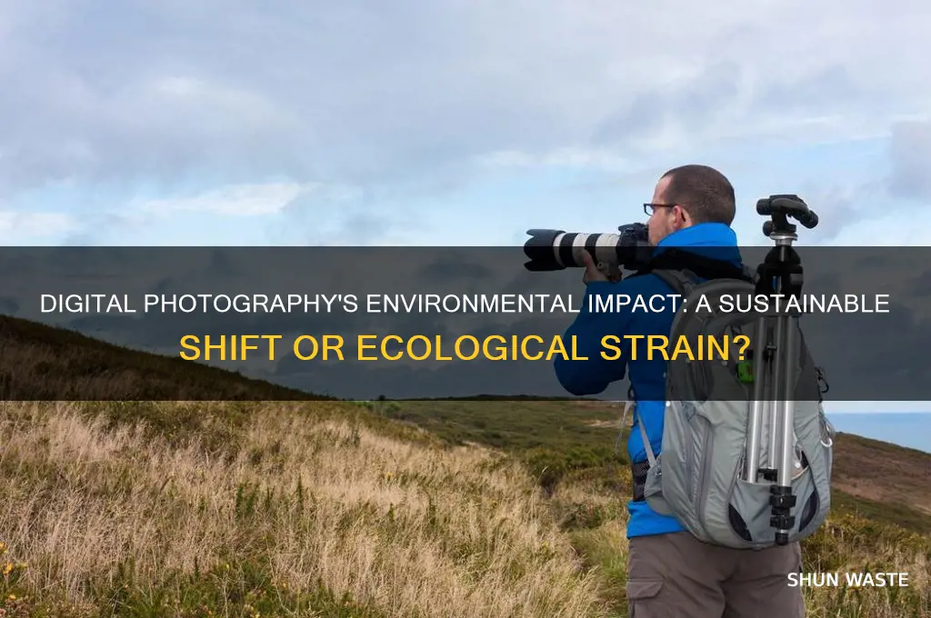 Digital Photography's Environmental Impact: A Sustainable Shift Or ...