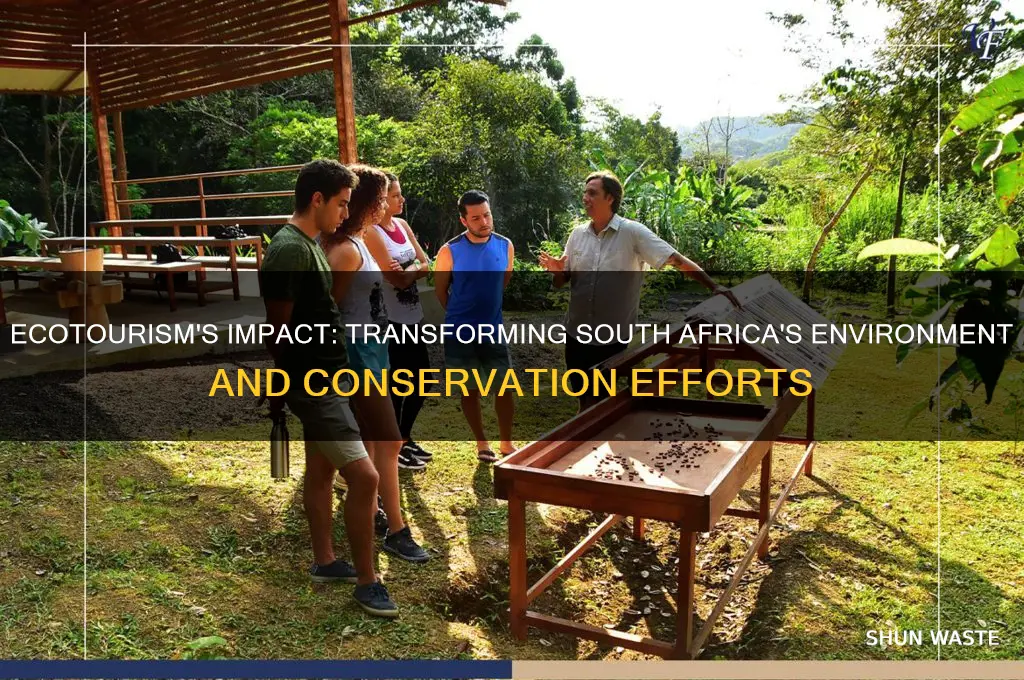 Ecotourism's Impact: Transforming South Africa's Environment And ...