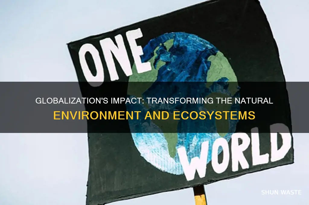 Globalization's Impact: Transforming The Natural Environment And ...