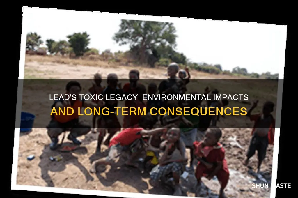 Lead's Toxic Legacy: Environmental Impacts And Long-Term Consequences ...
