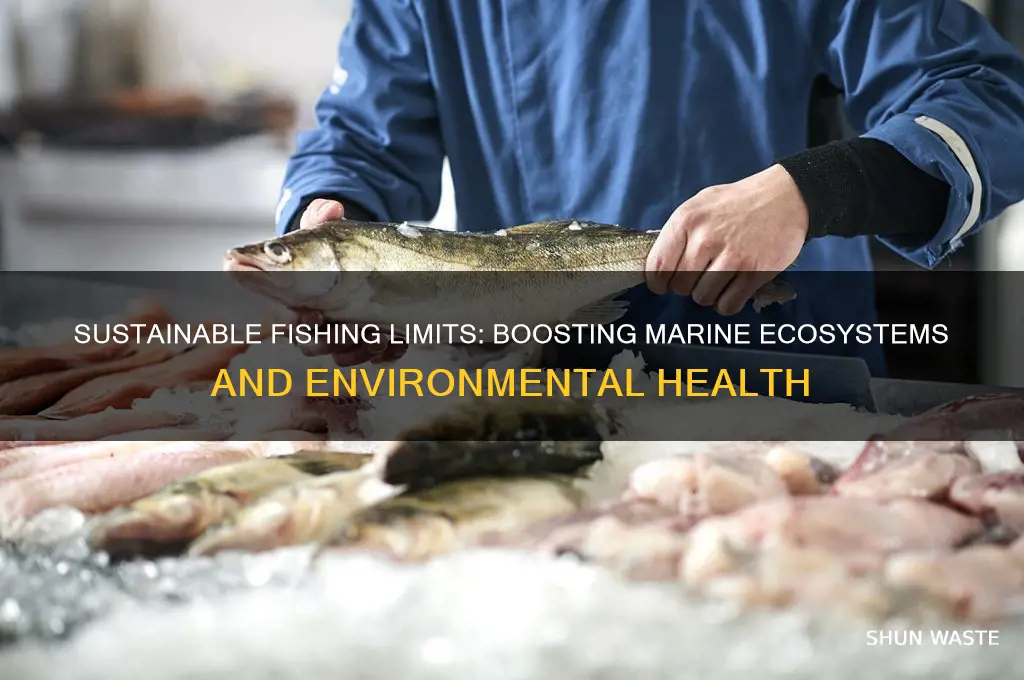 Sustainable Fishing Limits: Boosting Marine Ecosystems And ...