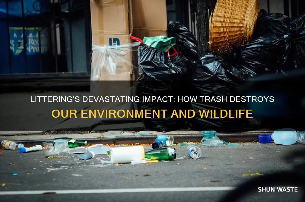 Littering's Devastating Impact: How Trash Destroys Our Environment And ...