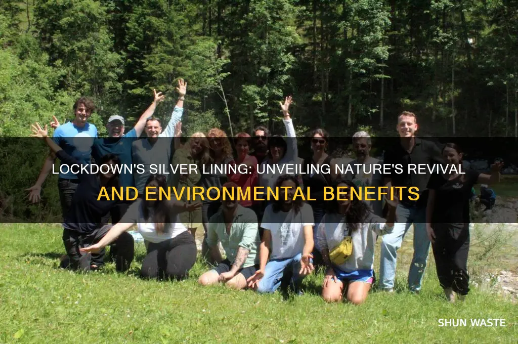 Lockdown's Silver Lining: Unveiling Nature's Revival And Environmental ...