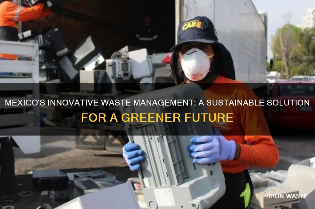 Mexico's Innovative Waste Management: A Sustainable Solution For A ...