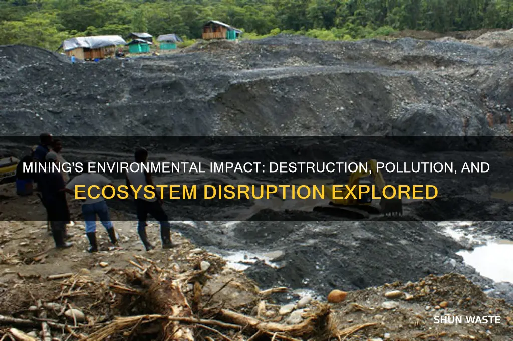 Mining's Environmental Impact: Destruction, Pollution, And Ecosystem ...