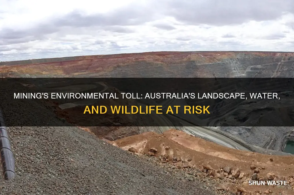 Mining's Environmental Toll: Australia's Landscape, Water, And Wildlife ...