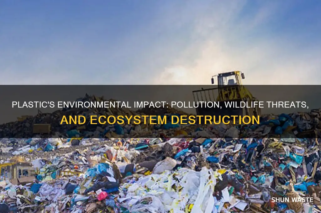 Plastic's Environmental Impact: Pollution, Wildlife Threats, And ...