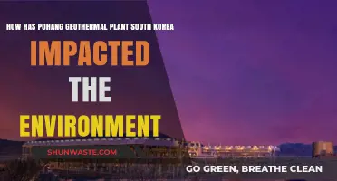 Silver's Environmental Footprint: Impacts, Challenges, And Sustainable ...