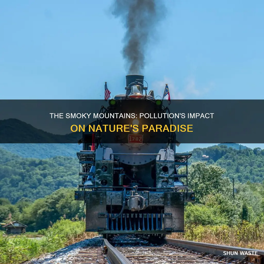 The Smoky Mountains: Pollution's Impact On Nature's Paradise | ShunWaste