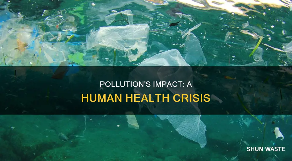 Pollution's Impact: A Human Health Crisis | ShunWaste