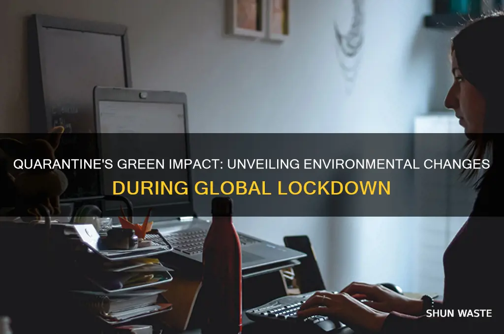 Quarantine's Green Impact: Unveiling Environmental Changes During ...
