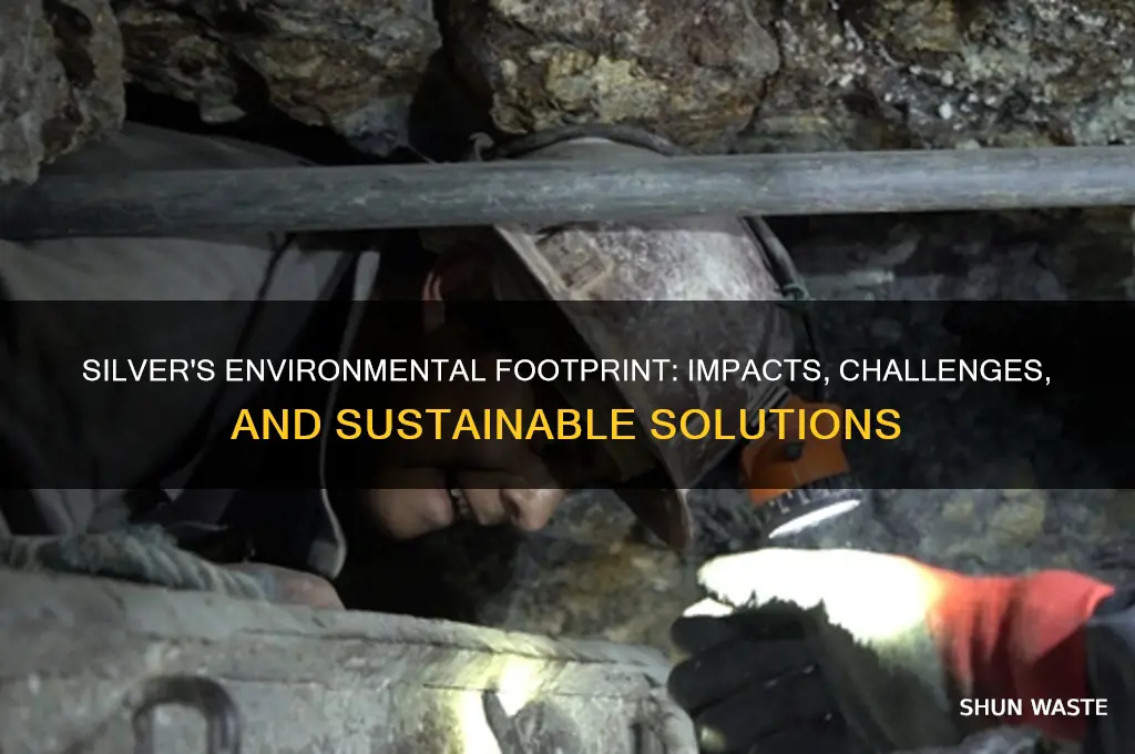 Silver's Environmental Footprint: Impacts, Challenges, And Sustainable ...
