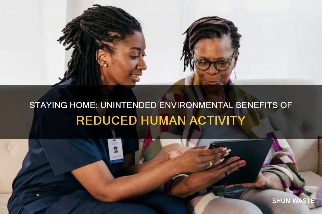 Staying Home: Unintended Environmental Benefits Of Reduced Human ...