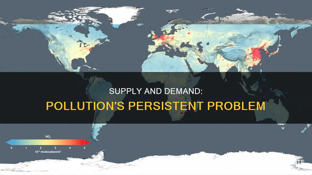 Supply And Demand: Pollution's Persistent Problem | ShunWaste