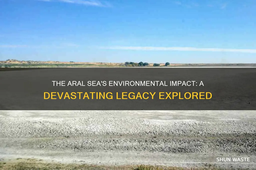 The Aral Sea's Environmental Impact: A Devastating Legacy Explored ...