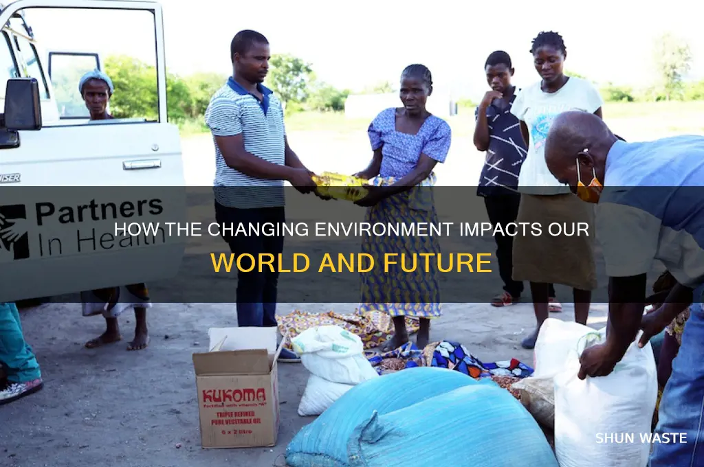 How The Changing Environment Impacts Our World And Future | ShunWaste