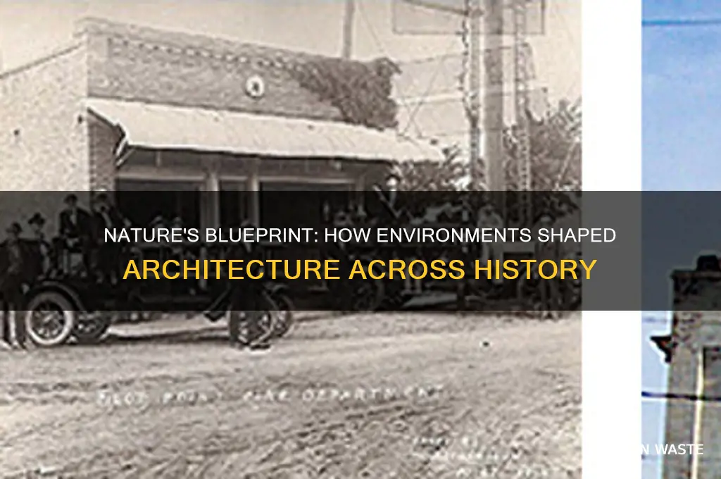 Nature's Blueprint: How Environments Shaped Architecture Across History ...