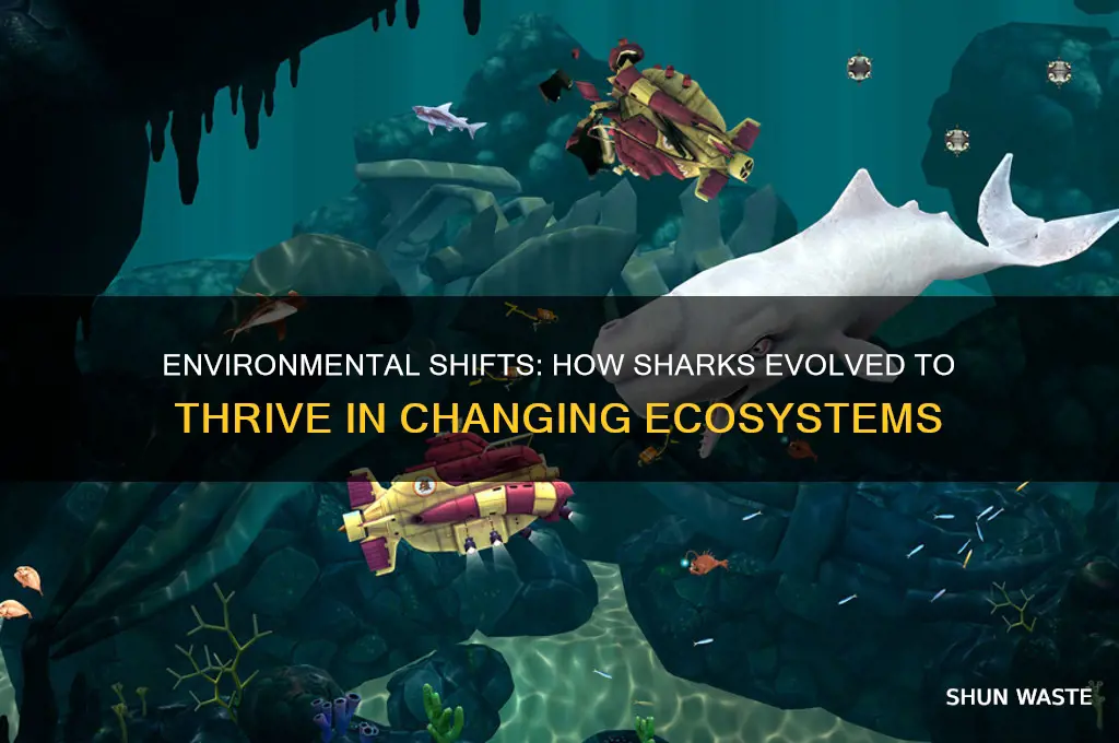 Environmental Shifts: How Sharks Evolved To Thrive In Changing ...