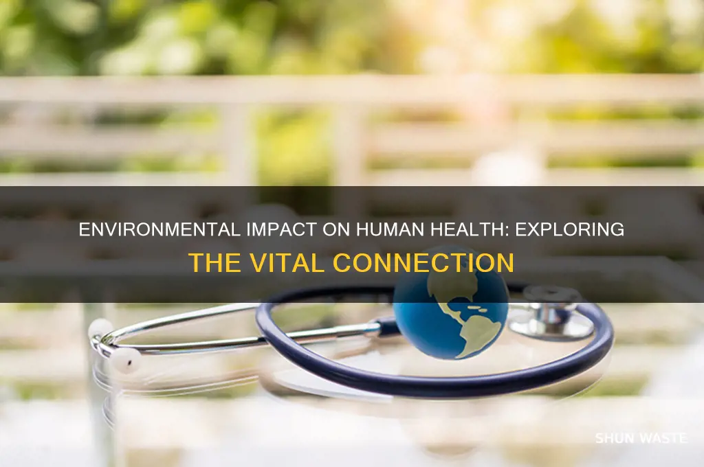 Environmental Impact On Human Health: Exploring The Vital Connection ...