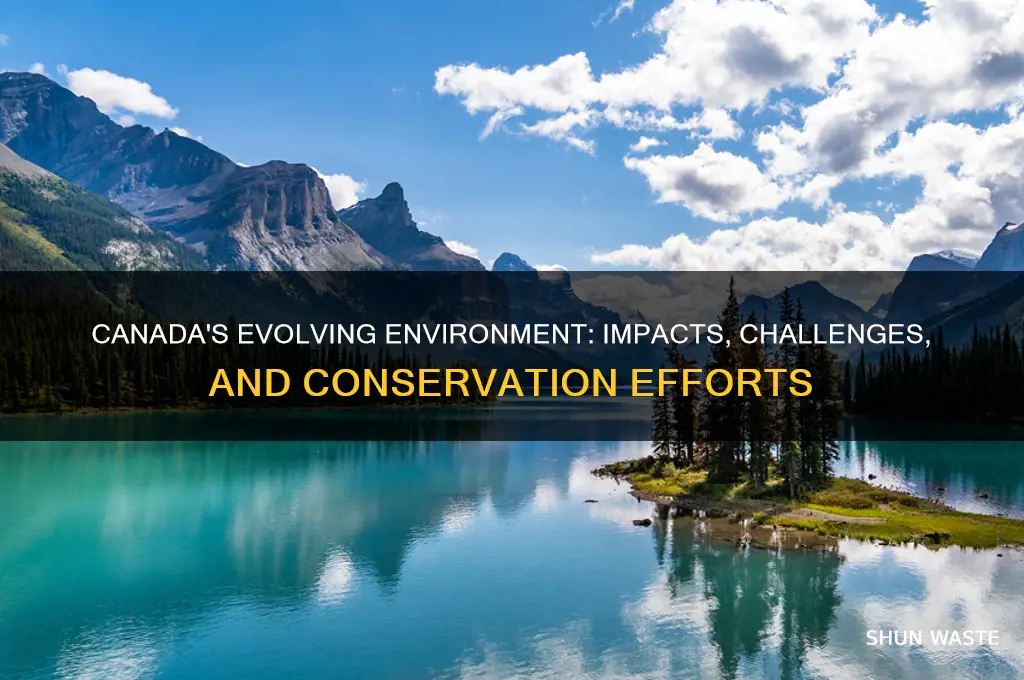 Canada's Evolving Environment: Impacts, Challenges, And Conservation ...