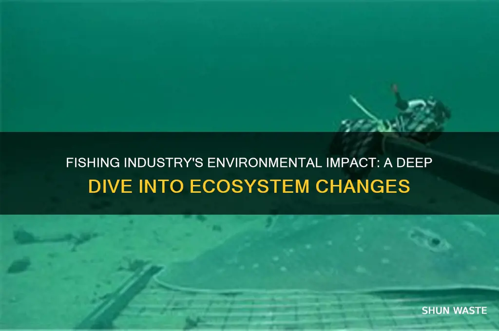 Fishing Industry's Environmental Impact: A Deep Dive Into Ecosystem ...