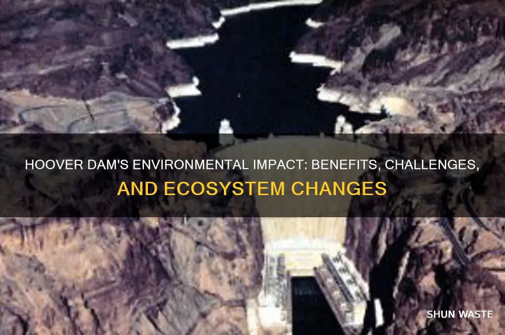 Hoover Dam's Environmental Impact: Benefits, Challenges, And Ecosystem ...