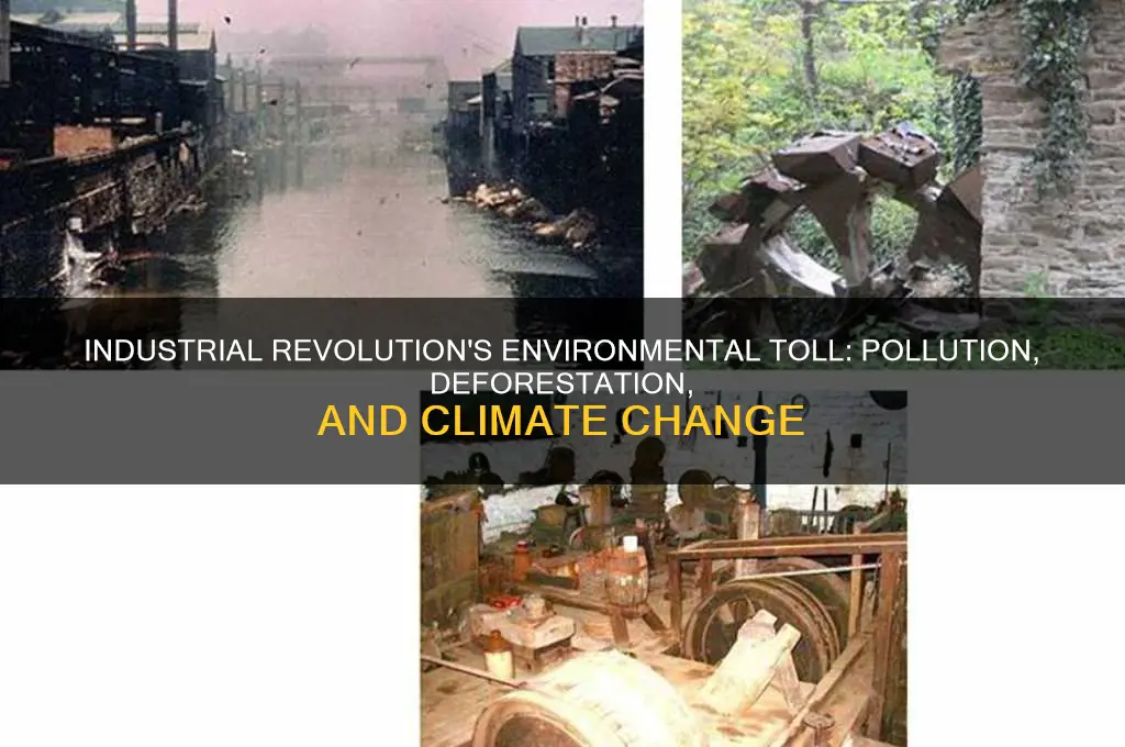Industrial Revolution's Environmental Toll: Pollution, Deforestation ...
