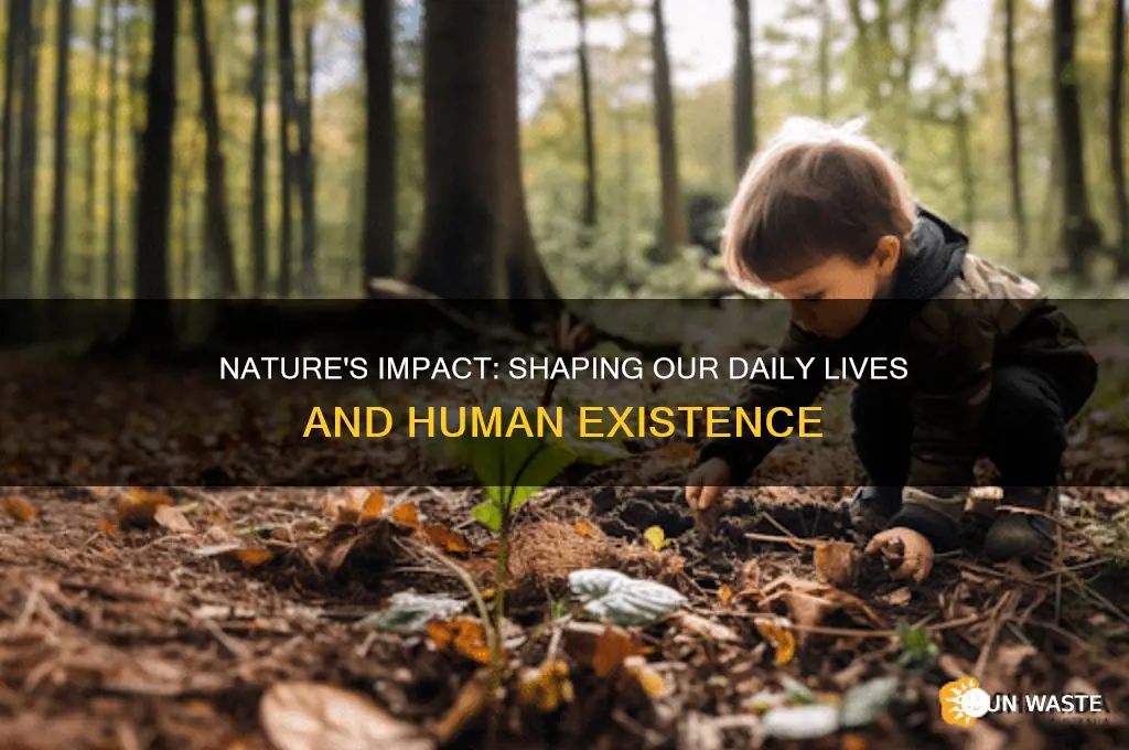 Nature's Impact: Shaping Our Daily Lives And Human Existence | ShunWaste