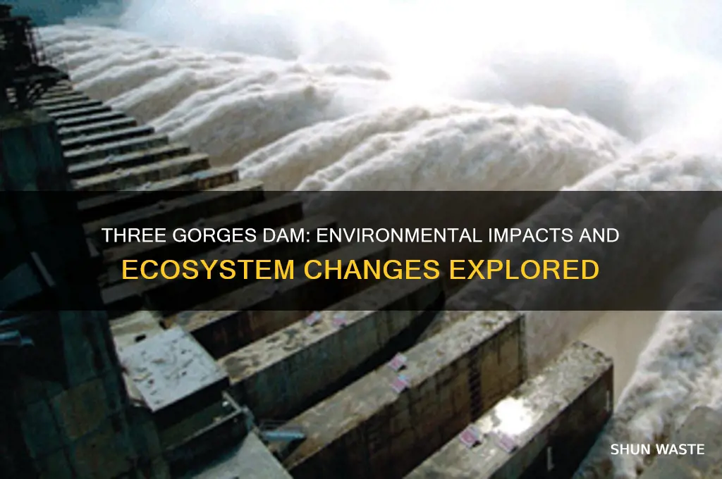 Three Gorges Dam: Environmental Impacts And Ecosystem Changes Explored ...
