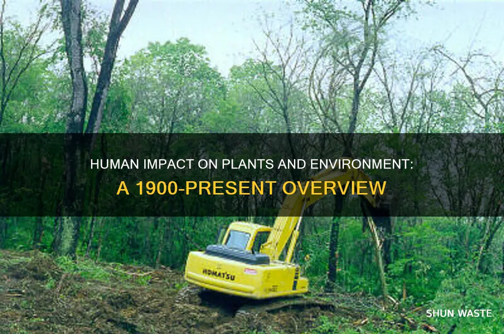 Human Impact On Plants And Environment: A 1900-Present Overview | ShunWaste
