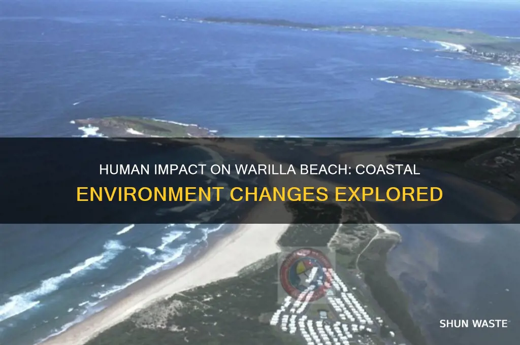 Human Impact On Warilla Beach: Coastal Environment Changes Explored ...