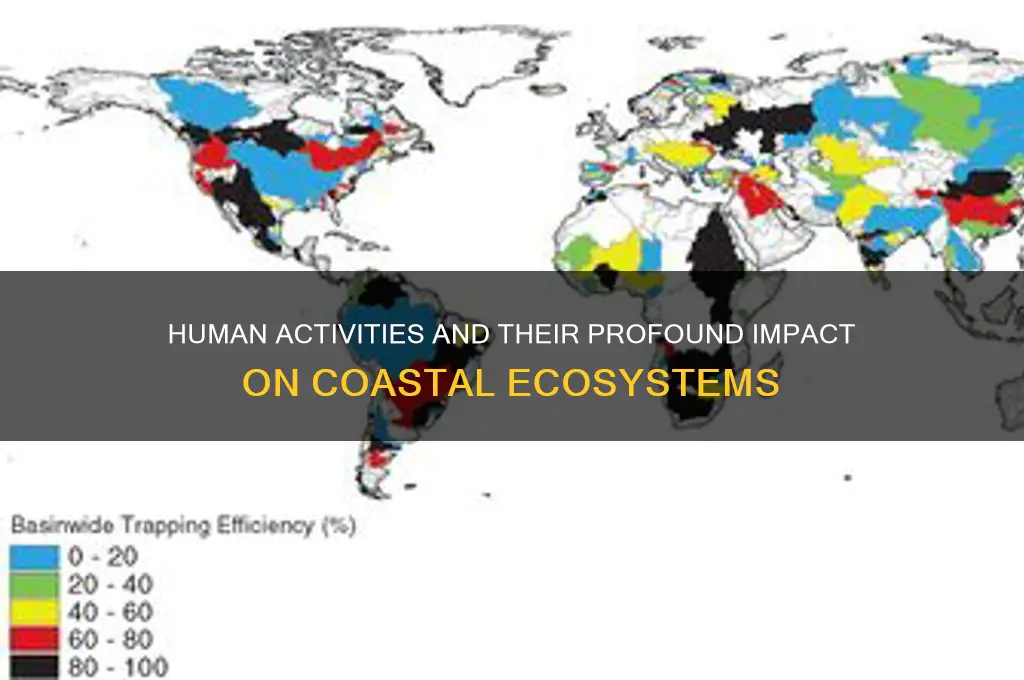 Human Activities And Their Profound Impact On Coastal Ecosystems ...