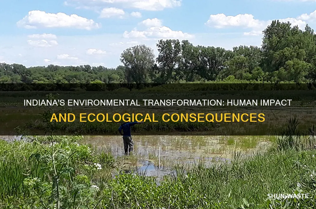 Indiana's Environmental Transformation: Human Impact And Ecological ...