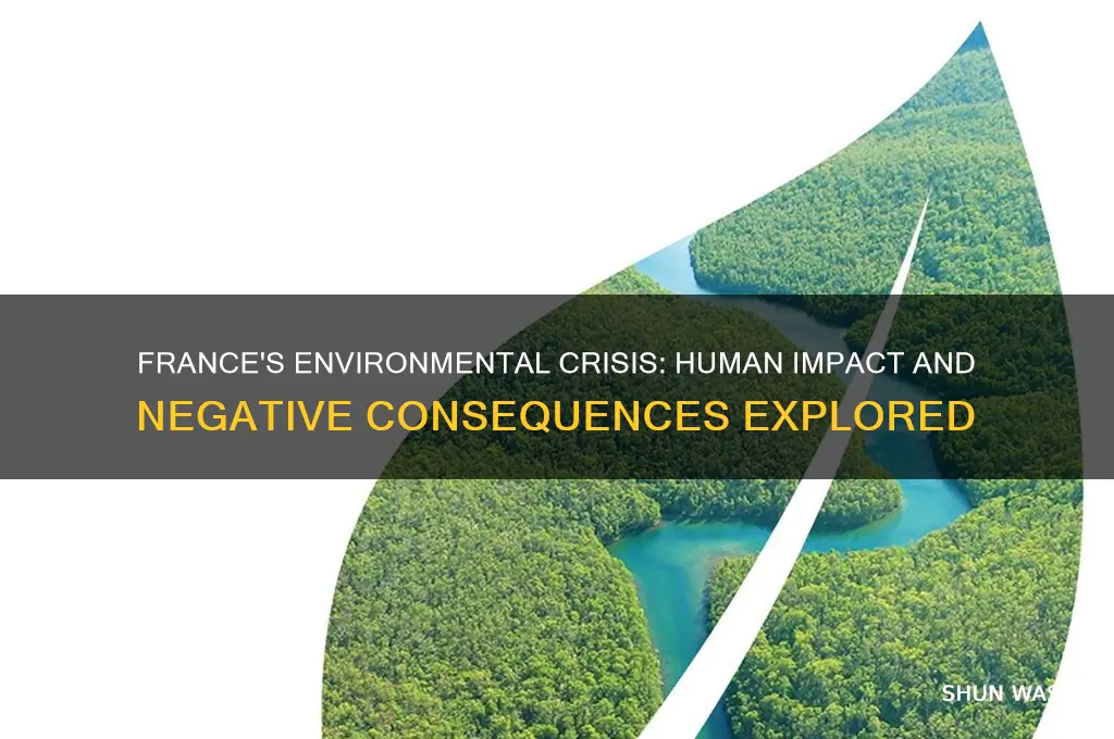 France's Environmental Crisis: Human Impact And Negative Consequences ...