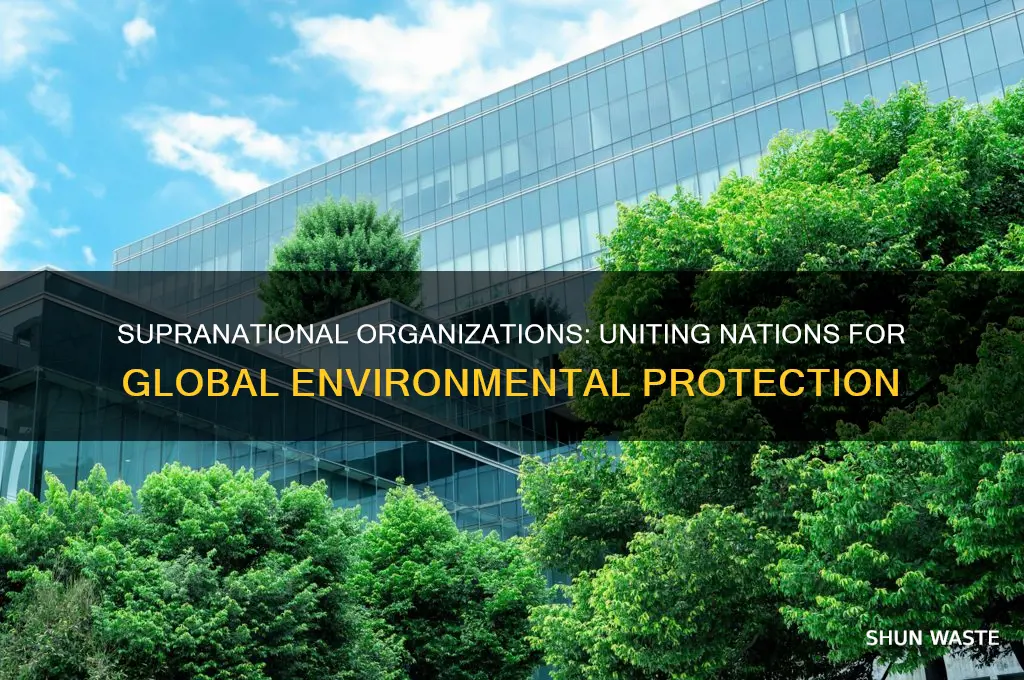 Supranational Organizations: Uniting Nations For Global Environmental ...